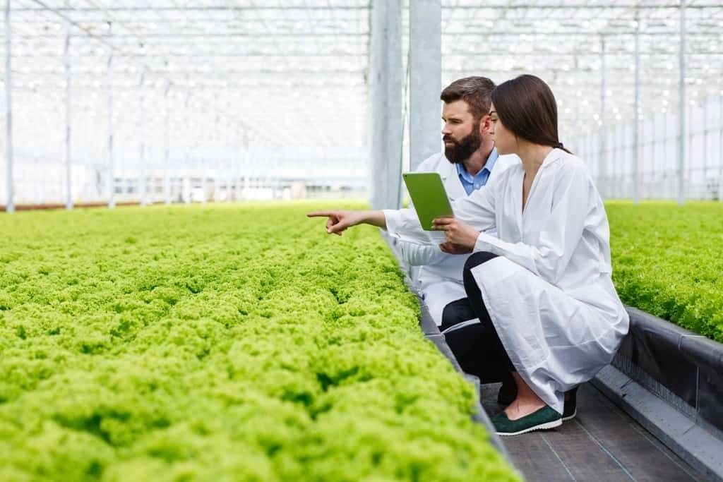 Why Study Agriculture Degree in Australia - AECC
